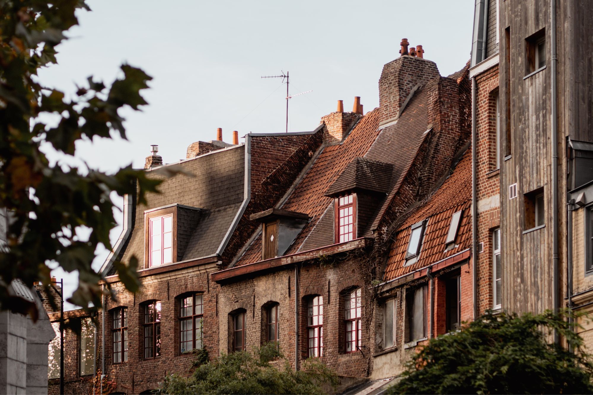 Cap sur Lille – Parenthèse Citron